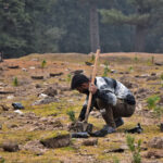 Before And After: Stunning Visuals Of Reforestation Projects.