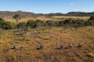 Case Study: The Success Story Of The Eden Reforestation Projects