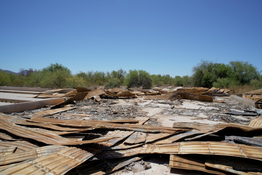 Landslides And Mudslides: The Deadly Cost Of Deforestation.
