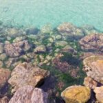 Overview Of Photosynthesis In The Ocean