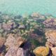 Overview Of Photosynthesis In The Ocean